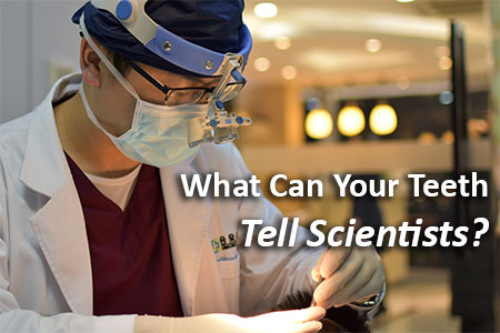 What Fossil Teeth Have Taught Scientists in Fairport, NY | Perinton ...